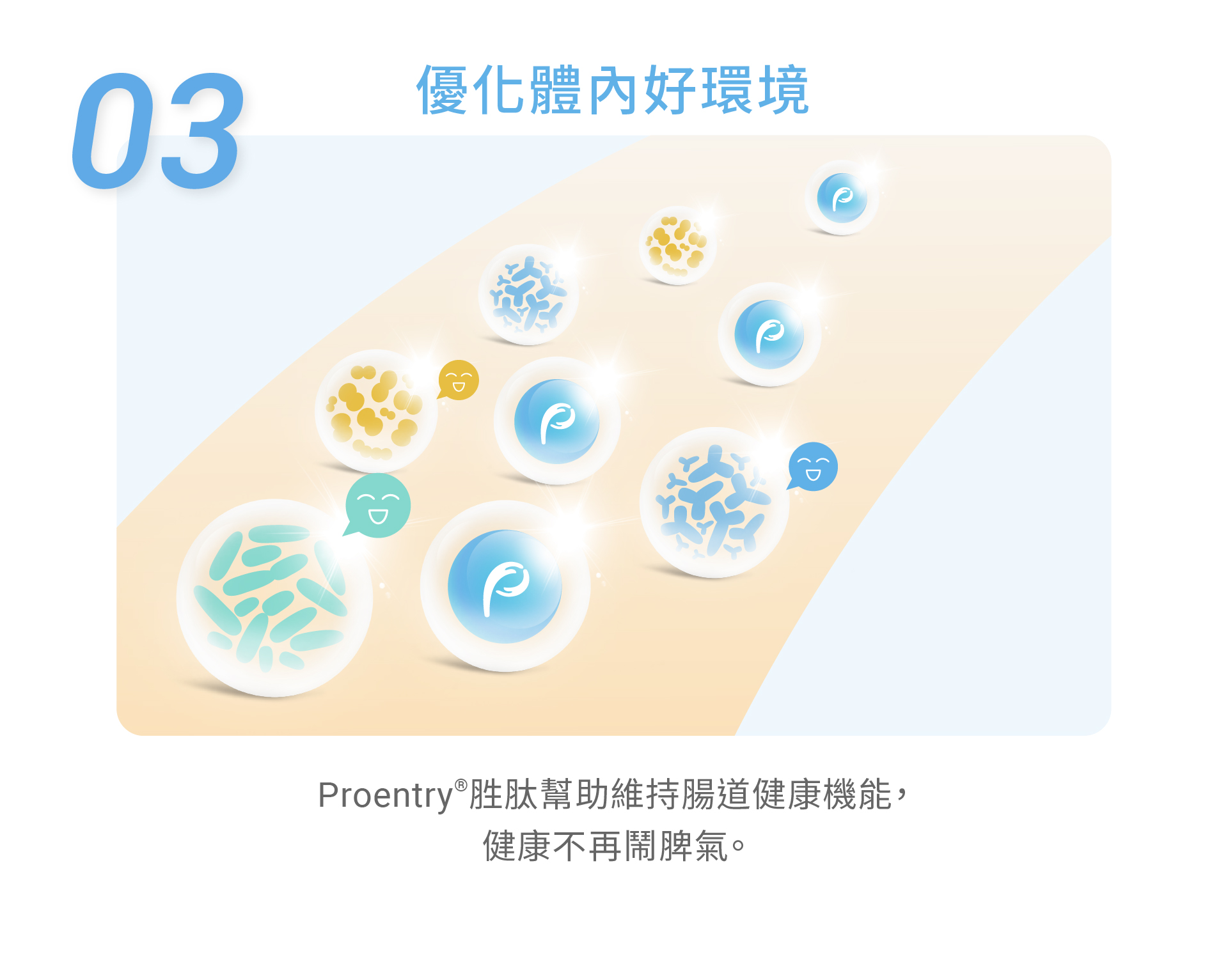 全部系列-Proentry®霈恩萃機能補給錠｜ENPRESS英霈斯-ENPRESS英霈斯網路商店｜醫學中心推薦的保健品牌